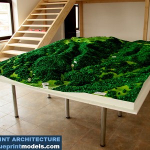Topographic Scale Model | Architectural Scale Models