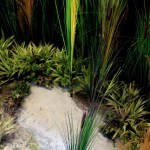 Museum Wetland Habitat Diorama | Architectural Scale Models