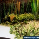 Museum Wetland Habitat Diorama | Architectural Scale Models