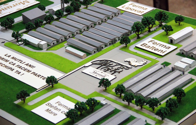 Chicken Farms Architectural Scale Model | Architectural Scale Models